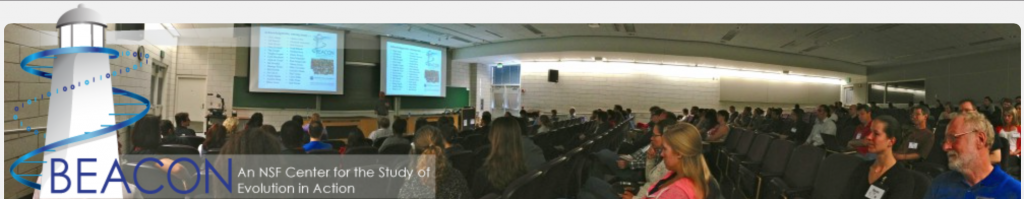 BEACON Researchers at Work: Addressing the Next Generation Science ...