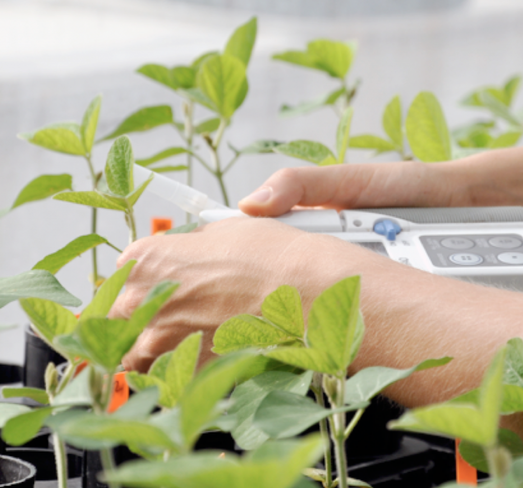 Tag: rhizobia | Data Nuggets