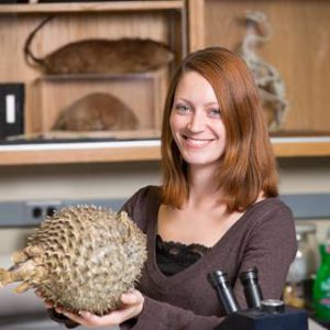 Raising Nemo: Parental care in the clown anemonefish - Data Nuggets