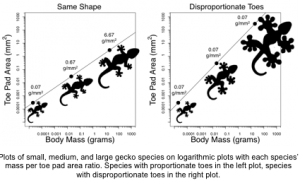 Tag: adaptation | Data Nuggets