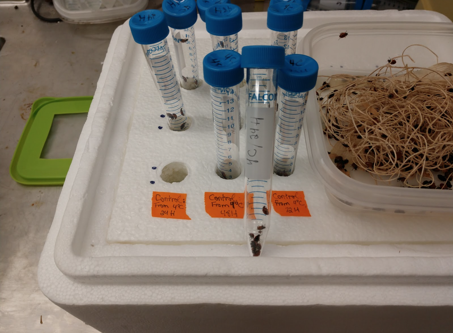 Tag: climate change | Data Nuggets