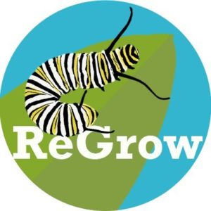 Tag: plants | Data Nuggets