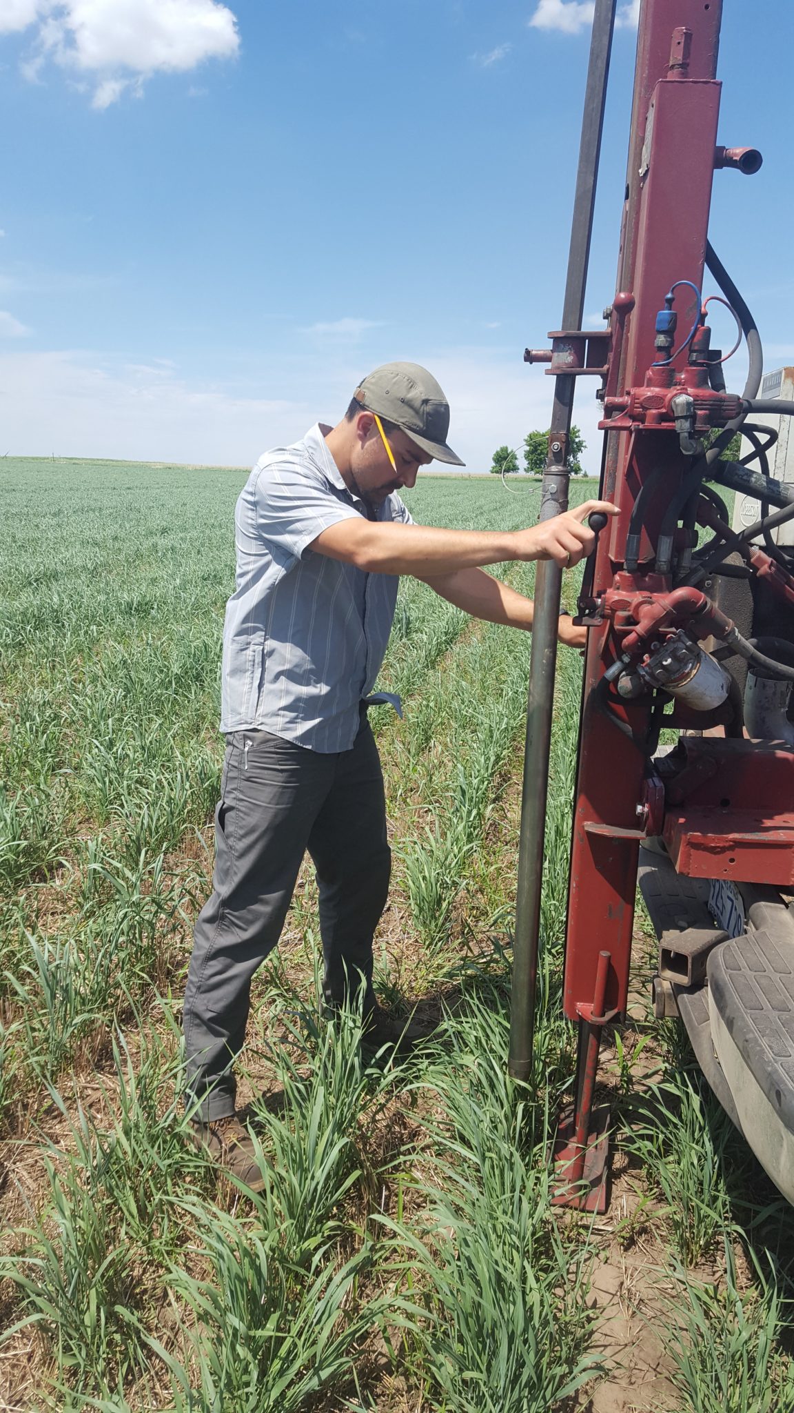 Tag: plants | Data Nuggets