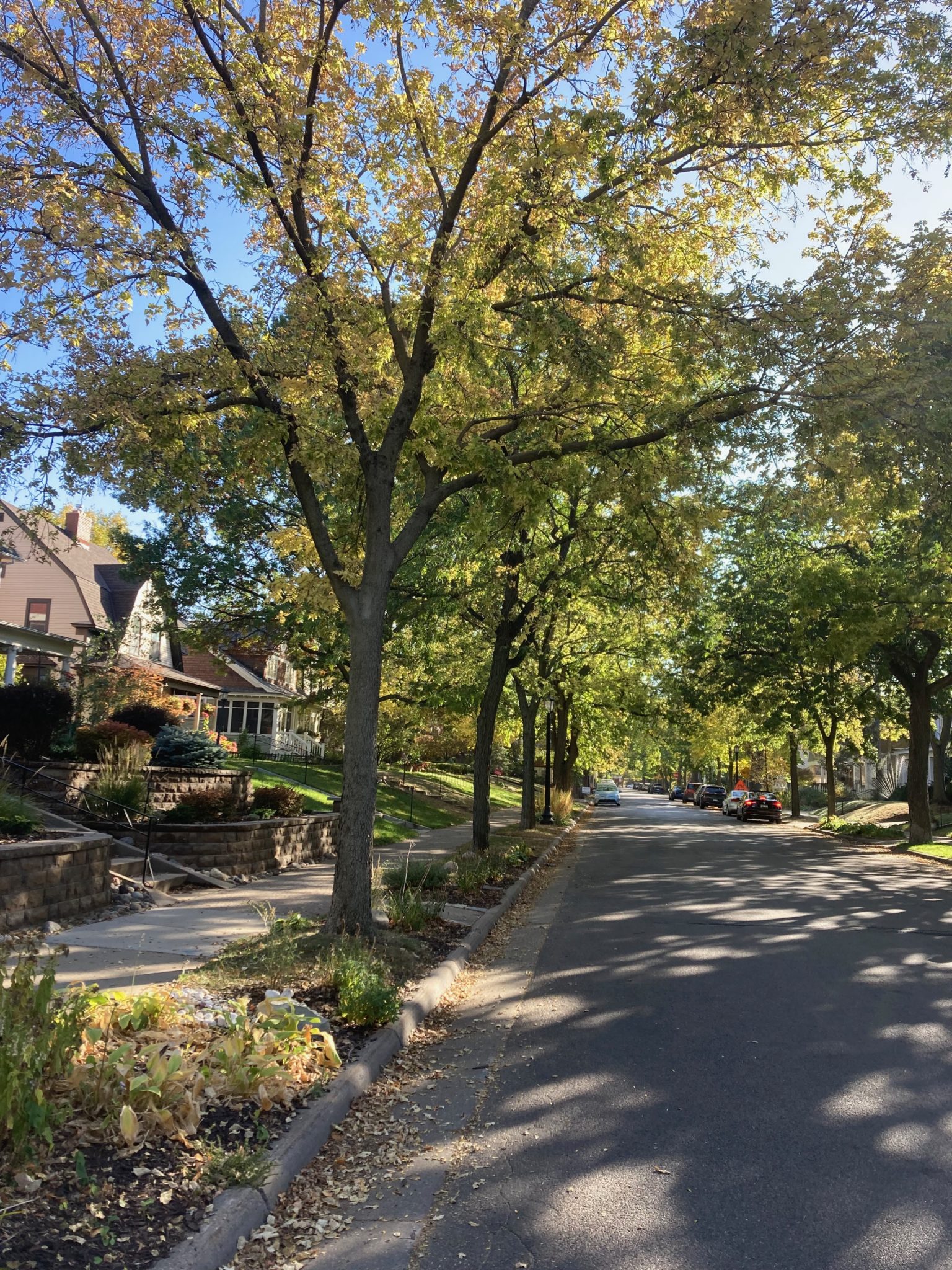 Tag: biodiversity | Data Nuggets