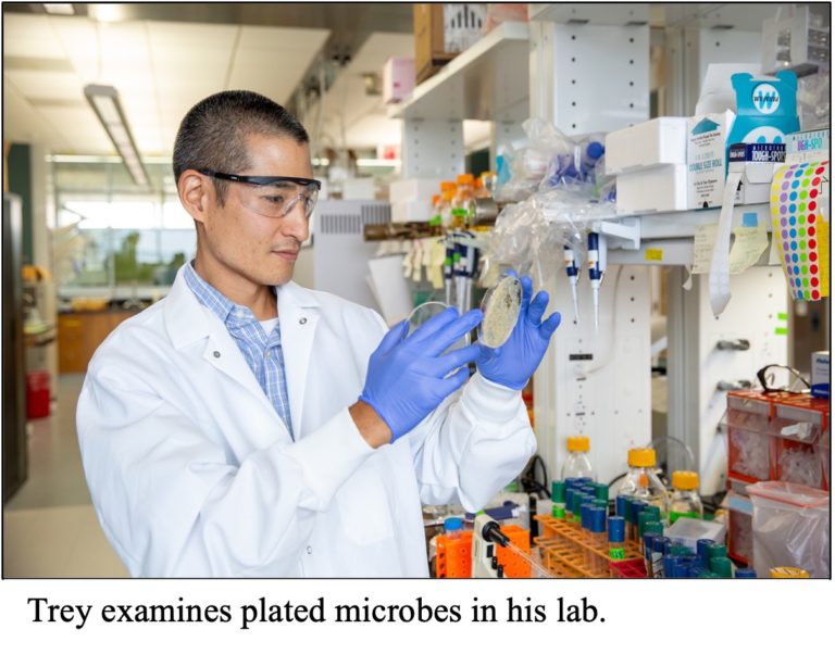 Tag: plants | Data Nuggets