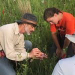 Tag: plants | Data Nuggets