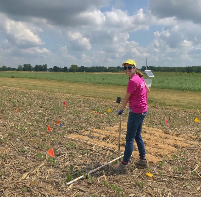 Tag: plants | Data Nuggets