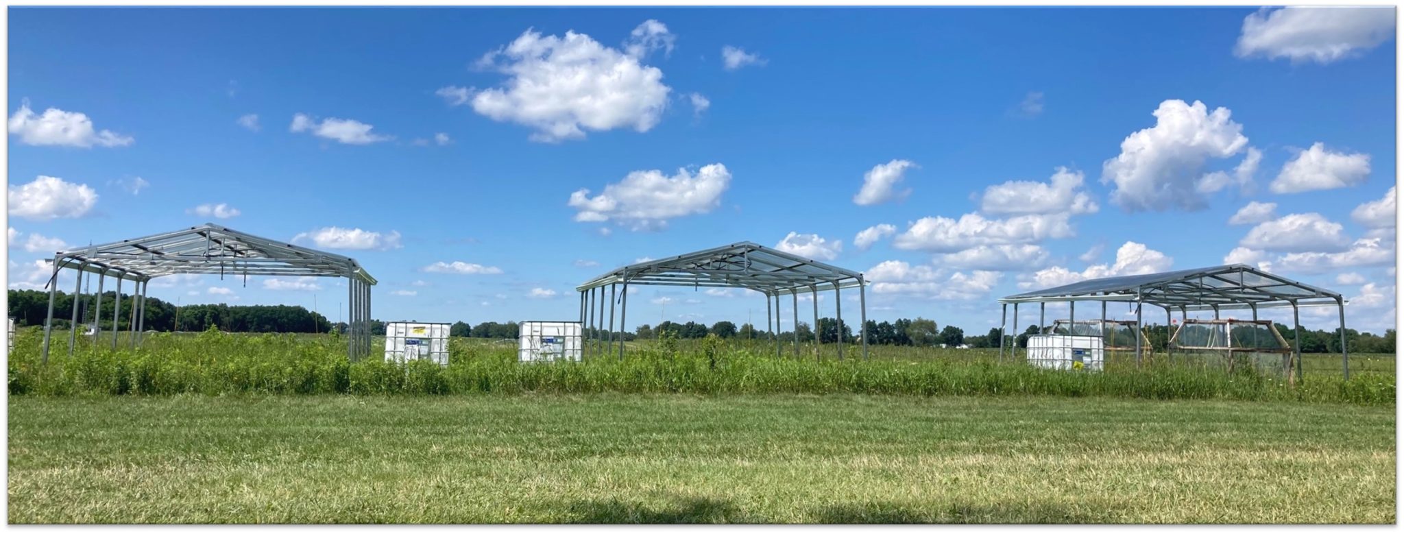 Tag: plants | Data Nuggets