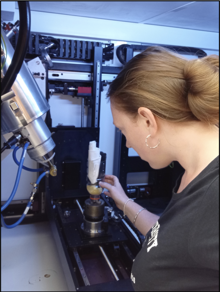 Reconstructing the behaviour of ancient animals | Data Nuggets