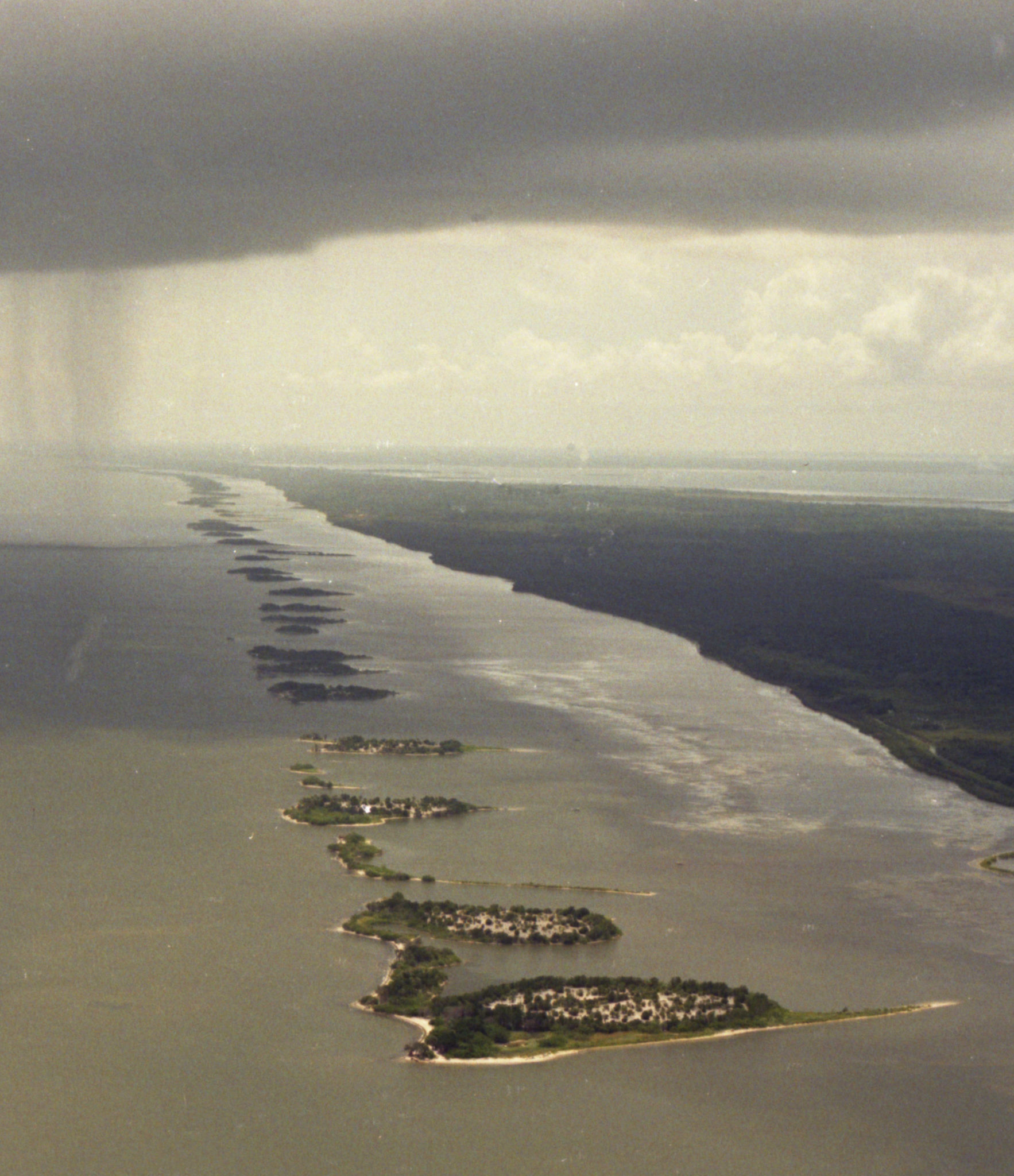 Tag: biodiversity | Data Nuggets