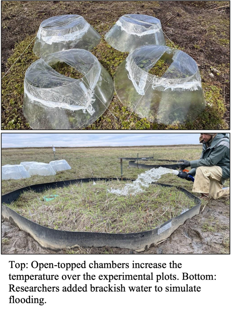 Tag: climate change | Data Nuggets